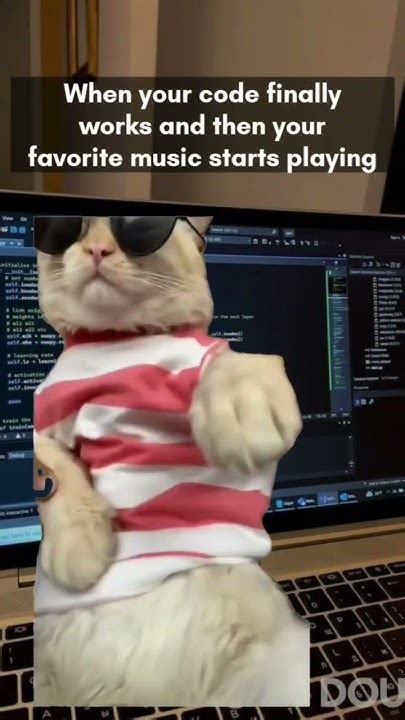 Programista Informatyka Programowanie Praca Biuro Menedżer Programming Coding Meme It