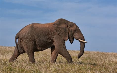 Mastering Advanced Aggregations In Spark Sql