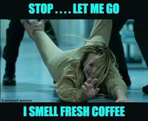 100 Funny Coffee Memes To Share With Friends In 2024 Brew That Coffee
