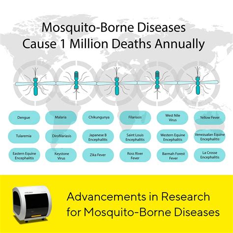 Octetbli Worldmosquitoprogram Worldmosquitoday Publichealth Dengueprevention Globalhealth