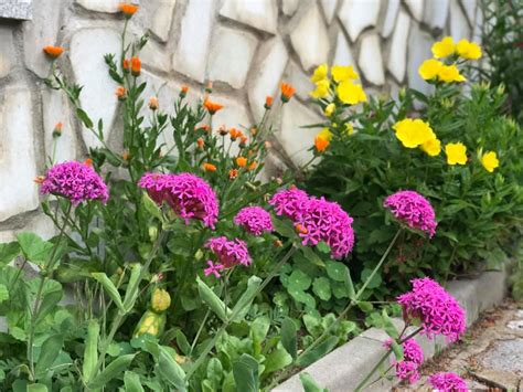 Снимки от Юндола и комплекс Андела август 2019 Блогът на туристически комплекс „Андела