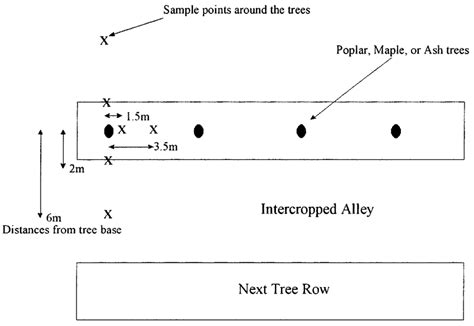 Diagrammatic Representation Of Sampling Layout In The Field Ontario Download Scientific