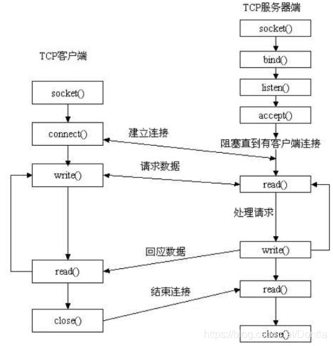 python socket socket 函数 套接字详解及tcp、udp程序示例（粘包等） csdn博客
