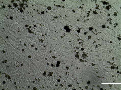 Questions With Answers In GRANULAR MATERIALS Science Topic