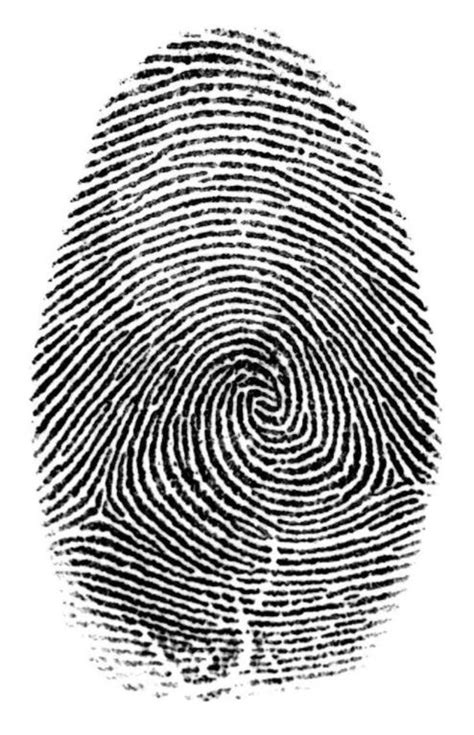 java how can i convert fingerprint to wsq use jmrtd wsqencoder