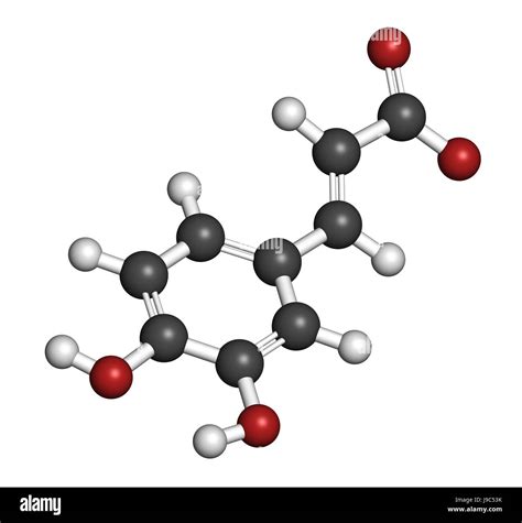 Caffeic Acid Molecule Intermediate In The Biosynthesis Of Lignin 3d Rendering Atoms Are