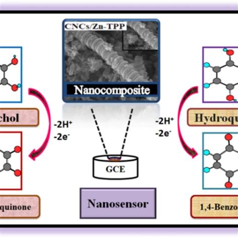 Representing Fabrication Of Sensor And The Detection Of Catechol And Download Scientific