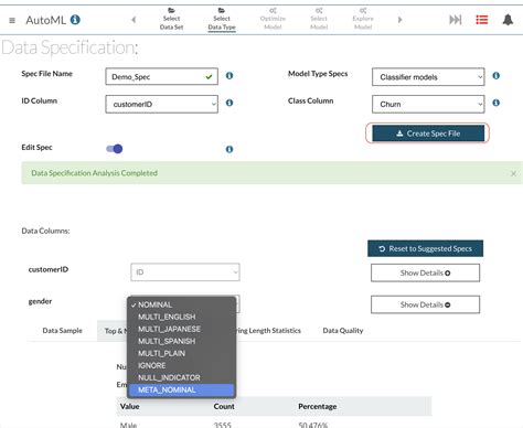 Providing Automl Data Specifications Inrule Technology