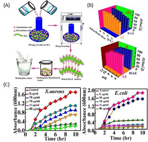 A Schematic Of Preparation Of Antimicrobial Nanocomposite B Effect Download Scientific
