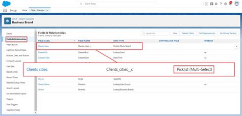 How To Set Default Value In Picklist Multi Select In Salesforce Salesforce Faqs