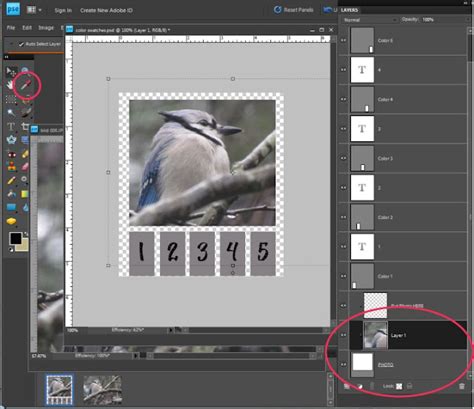 My Legacy How To Create Your Own Color Swatches From Photos