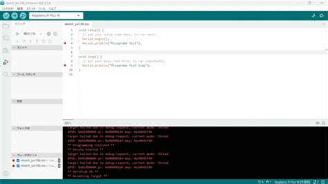 【arduino】raspberry pi pico w をデバッグする！picoprobeの作り方、arduinoプログラミング！│