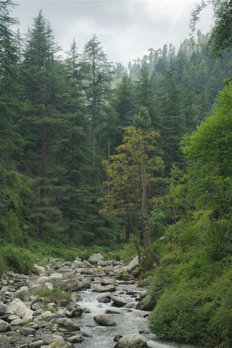 20000 Foto Tantemandibugil Terbaik · Unduh Gratis 100 · Foto Stok