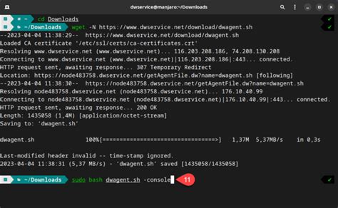 Linux Install The Agent With Credentials Console Dwservice Docs