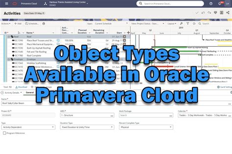 How To Print Schedules In Oracle Primavera Cloud Taradigm