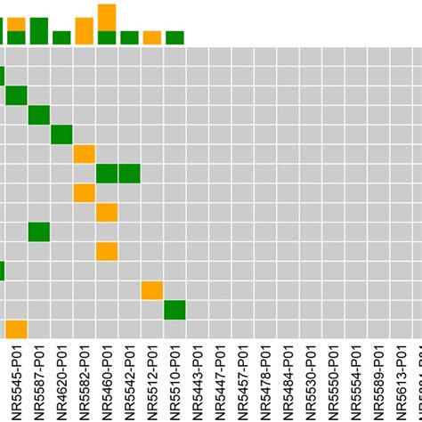 Heatmap Of Somatic Mutation In 21 Pineal Cyst 15 Gene Mutations Were