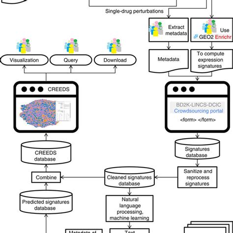 Batch Effect Correction Influence On The Quality Of Gene Expression Download Scientific Diagram