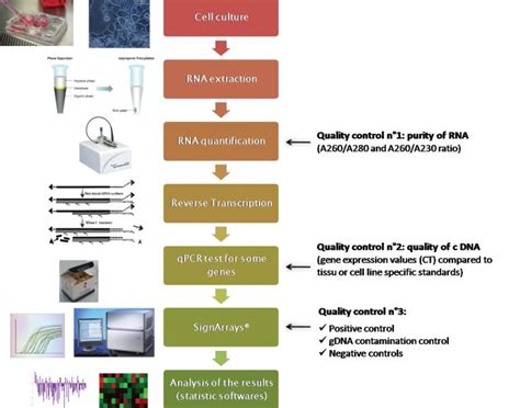 Biomarker Identification And Validation By Qpcr Service Anygenes