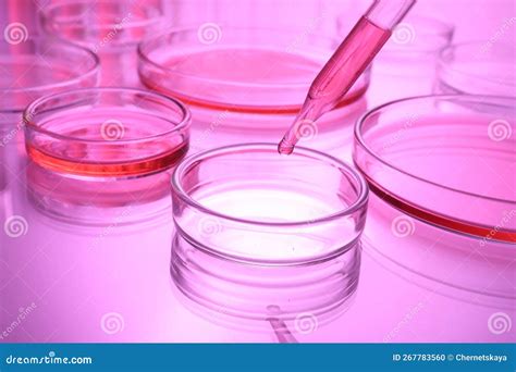 Dripping Reagent Into Test Tube On Blue Background Closeup Laboratory Analysis Stock Image