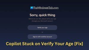 Copilot Stuck On Verify Your Age Fix