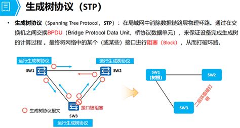 华为 ensp stp 生成树协议 ensp启用stp协议 csdn博客