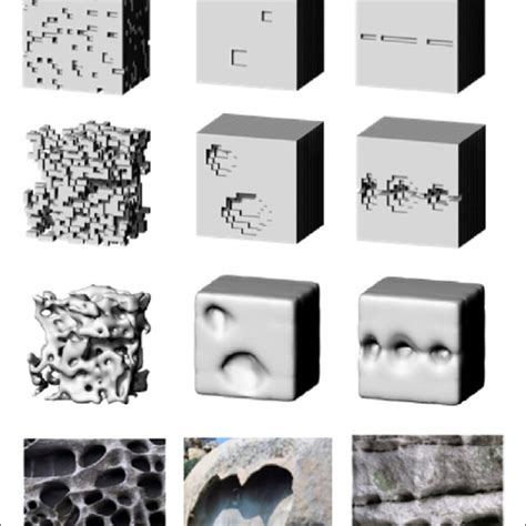 Algorithm Results Comparing With Natural Form Download Scientific Diagram