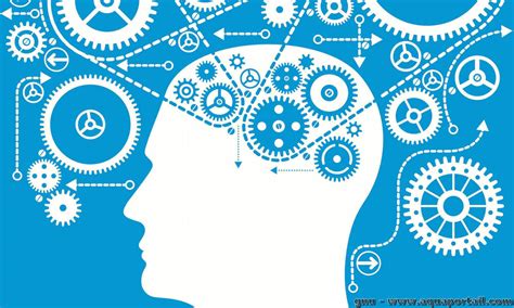 Cognition Définition Et Explications