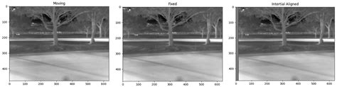 Detection And Localization Of Small Moving Objects In The Presence Of