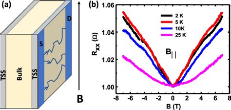 A Schematics Demonstrating The Electron Trajectories In Magnetic Download Scientific Diagram