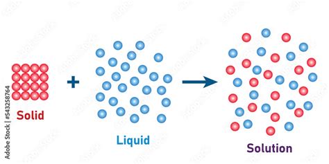 Solid Dissolved In Liquid Diagram Scientific Vector Illustration Isolated On White Background