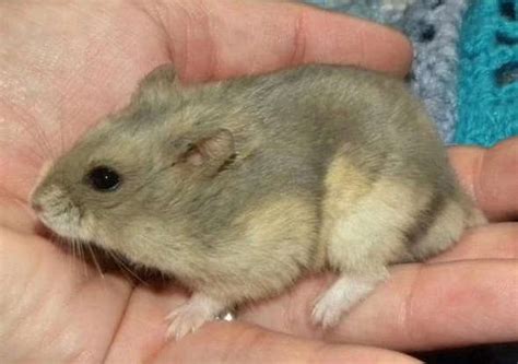 10 Creepy Easter Eggs You Might Have Overlooked In Classic Films