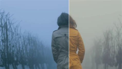 Wedding Lut Sony Log 11