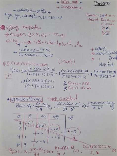 Lagrange Newton Answer Pdf