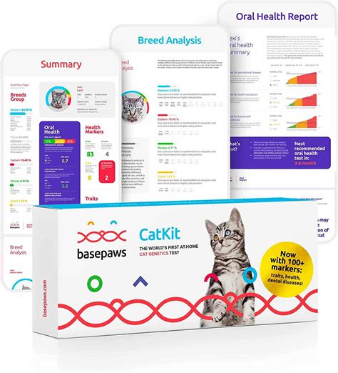The 4 Best Cat Dna Tests Of 2024