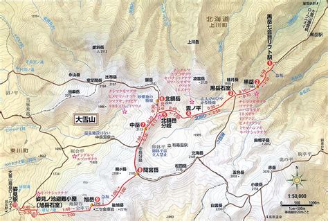 北海道大雪山 旭岳 ハイキング