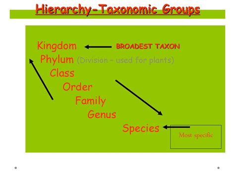 Classification Ppt Download