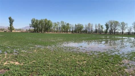 中国区域农田灌溉用水遥感估算应用示范 中国空间气候观测站