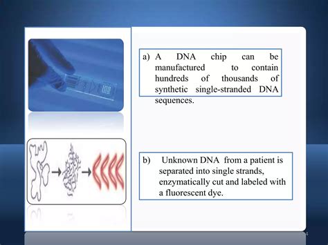 Dna Microarray Dna Chips Pptx