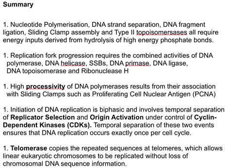 Dna Replication Mind Map