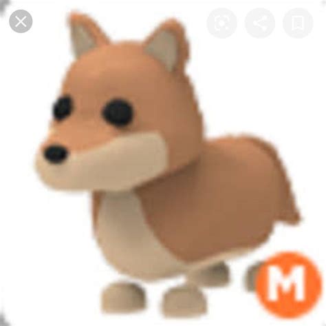 Динго из адопт ми