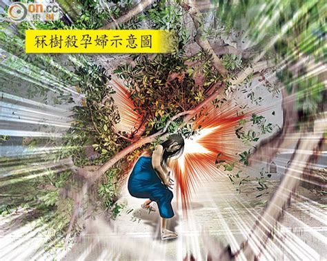 冧樹殺孕婦 胎兒命危 東方日報