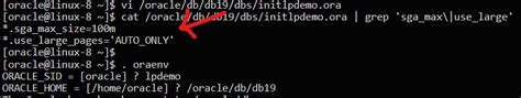 linux huge pages and auto only option of oracle 19c selvakumar nagulan