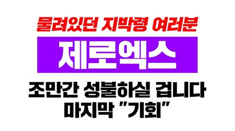 제로엑스 긴급 100급등전 바닥매수 기회 고점에 물려있던 지박령들 조만간 성불할 예정 코인시황 Youtube