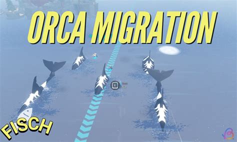 How To Complete The Orca Migration Event In Fisch Beebom
