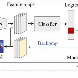 Training Pipeline We Compute Saliency Maps Using The GradCAM Method