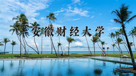 2024年安徽财经大学在四川计划招生人数附学费及专业录取分