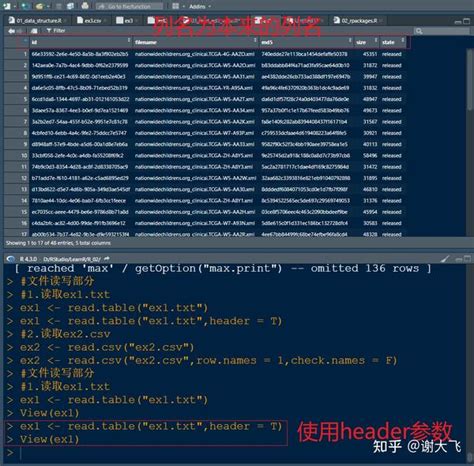R语言中读取文件 知乎 R语言中读取文件 知乎