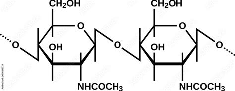 Chitin Structural Formula Vector Illustration Stock Vector Adobe Stock