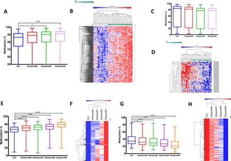 Pearson Correlation Between Cg Methylation Levels Delta Beta 01 And Download Scientific