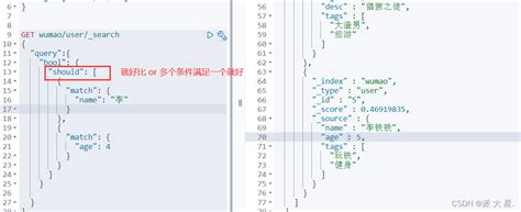 Elasticsearch学习总结（基础篇，可学习，可复习） Csdn博客
